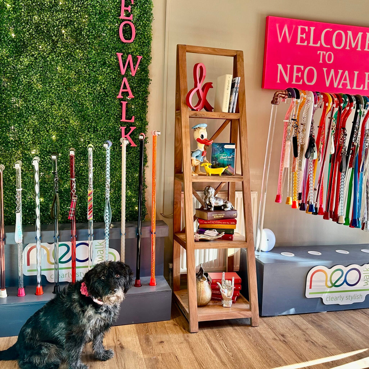 Short Guide for New Stick Users – Neo Walk