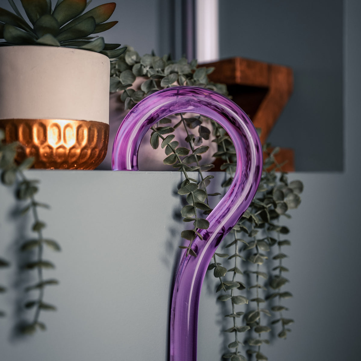 Purple Walking Sticks & Canes | Neo Walk